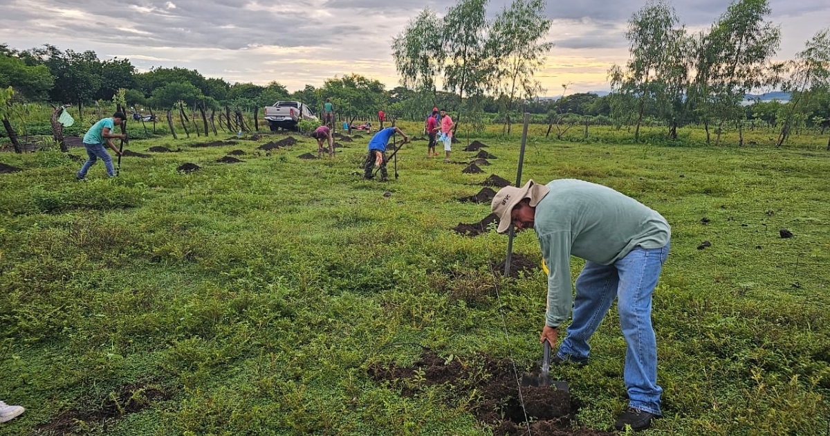 Plan de Reforestación y Restauración Ambiental – Ministerio de Energía ...